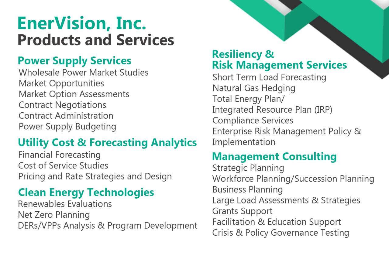 Company Overview - EnerVision